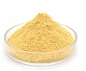 Pharmaceutical Excipients Egg Lecithin GMP Purified Egg Phospholipids